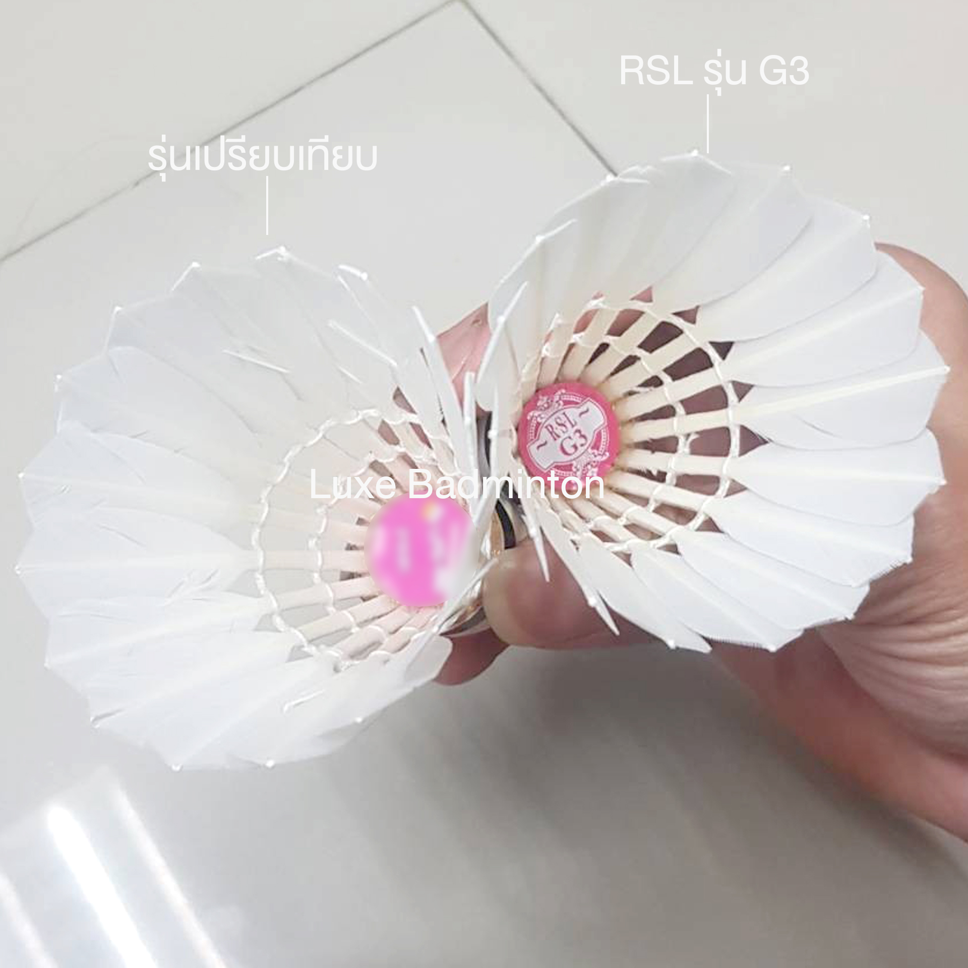 ลูกแบดมินตัน RSL รุ่น G3 Speed 76 - LUXE BADMINTON